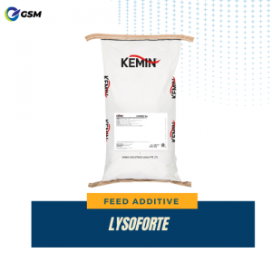 LYSOFORTE – Gema Satwa Medika